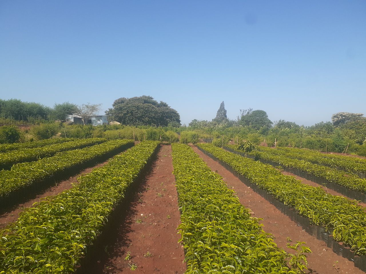 Eco-Tourism, Environment and Community Development (EECD)