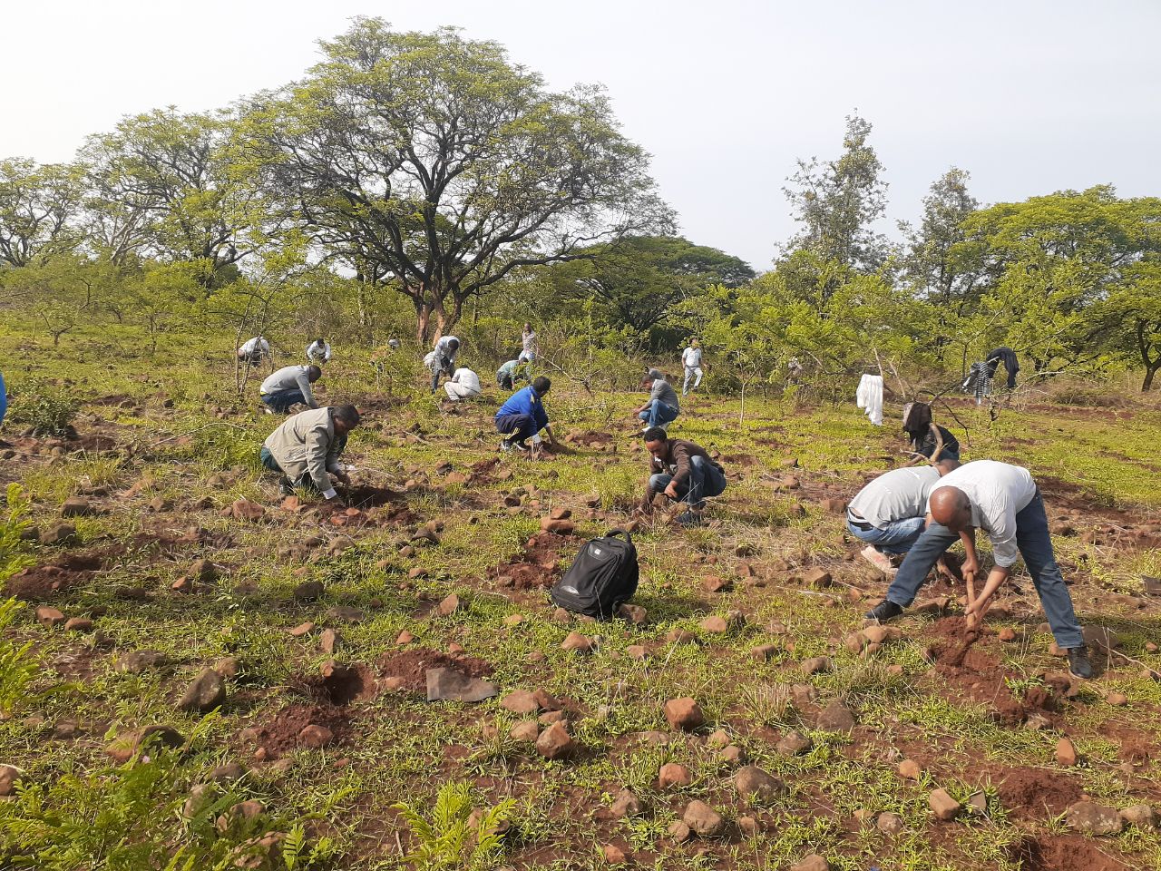 Eco-Tourism, Environment and Community Development (EECD)